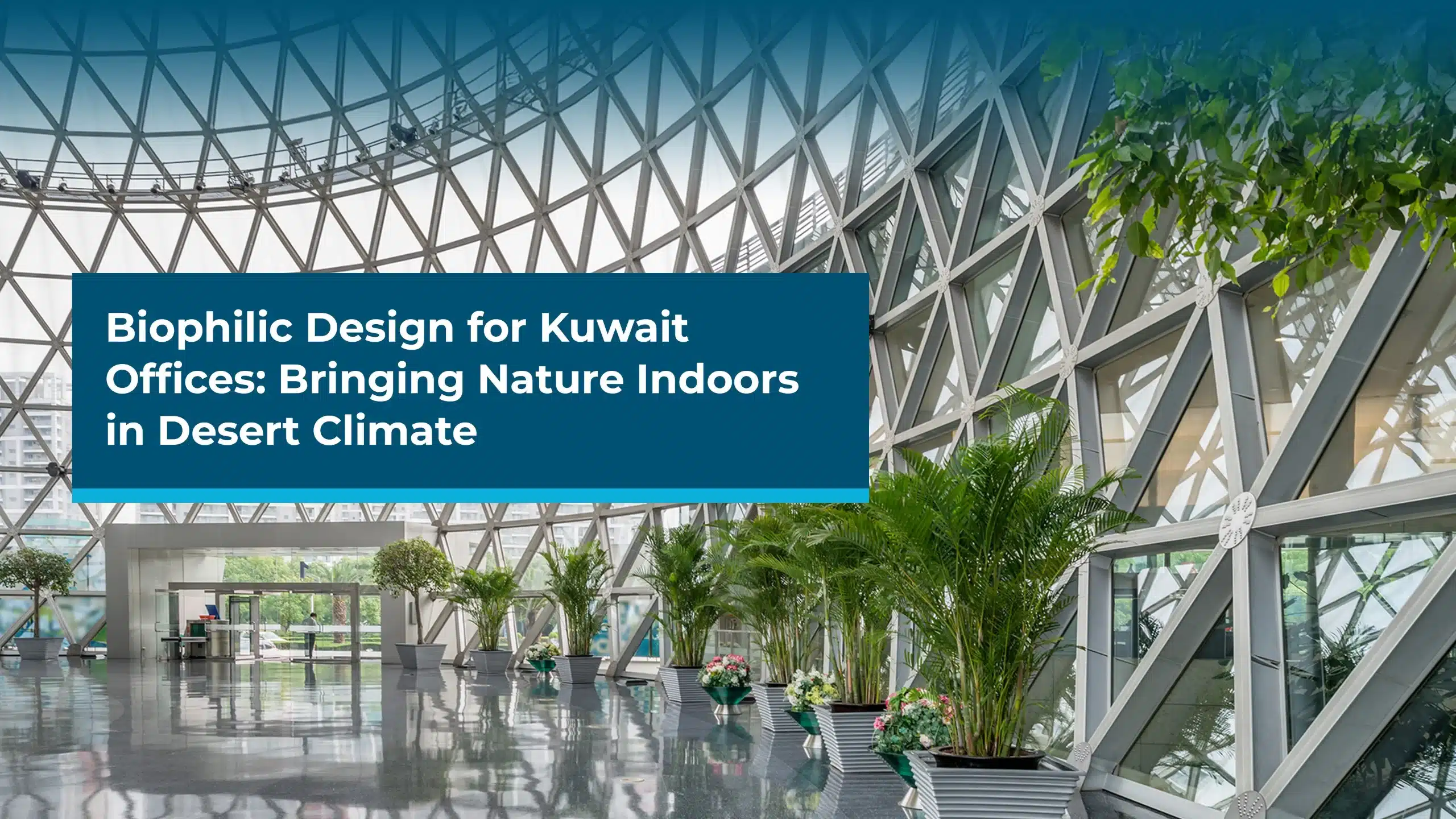 Biophilic Office Design Kuwait | Green Interiors Desert Climate
